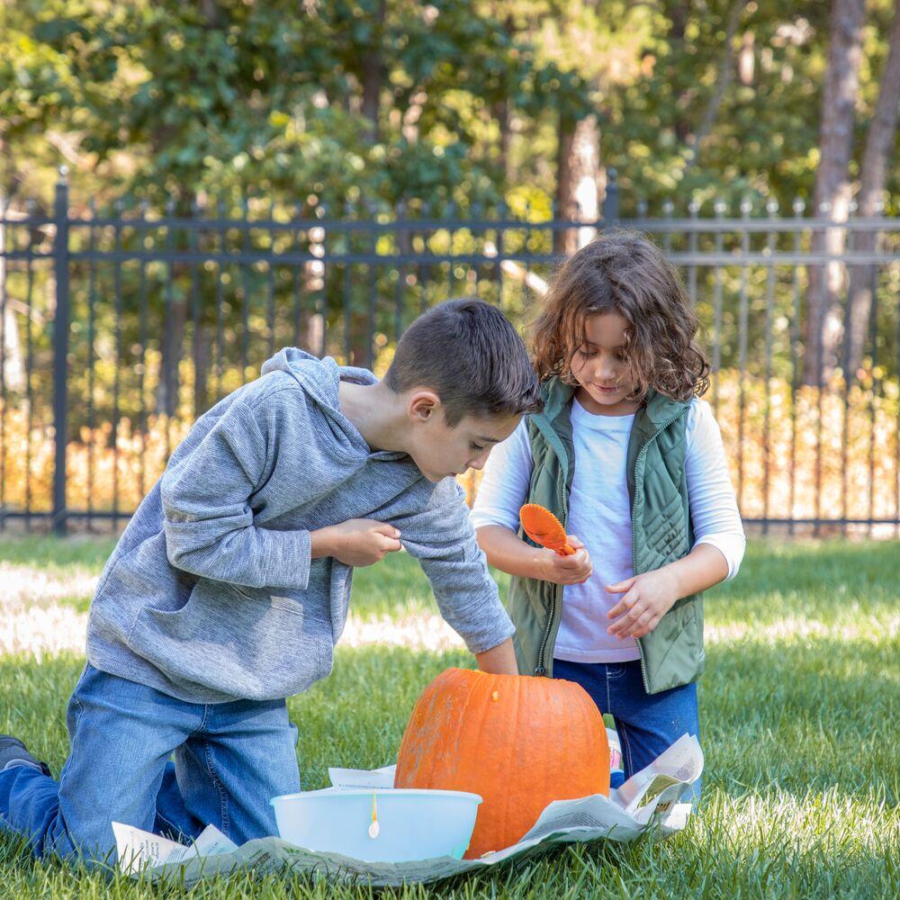 5 Fall Activities for Your Backyard - ActiveYards